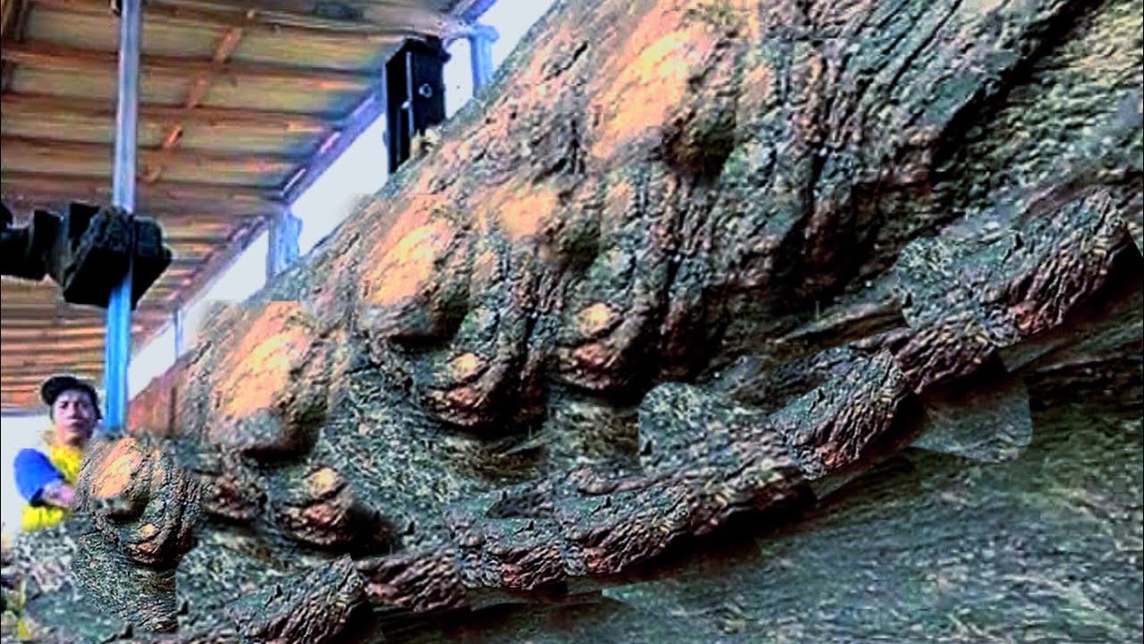 Big mistake, this is really dangerous and horrifying wood at sawmill ...