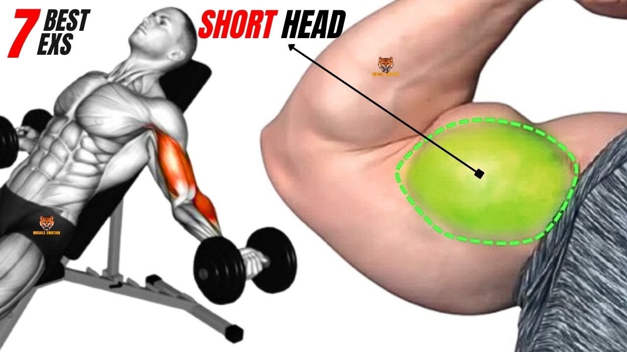7 best SHORT head Biceps workout at gym - YouTube