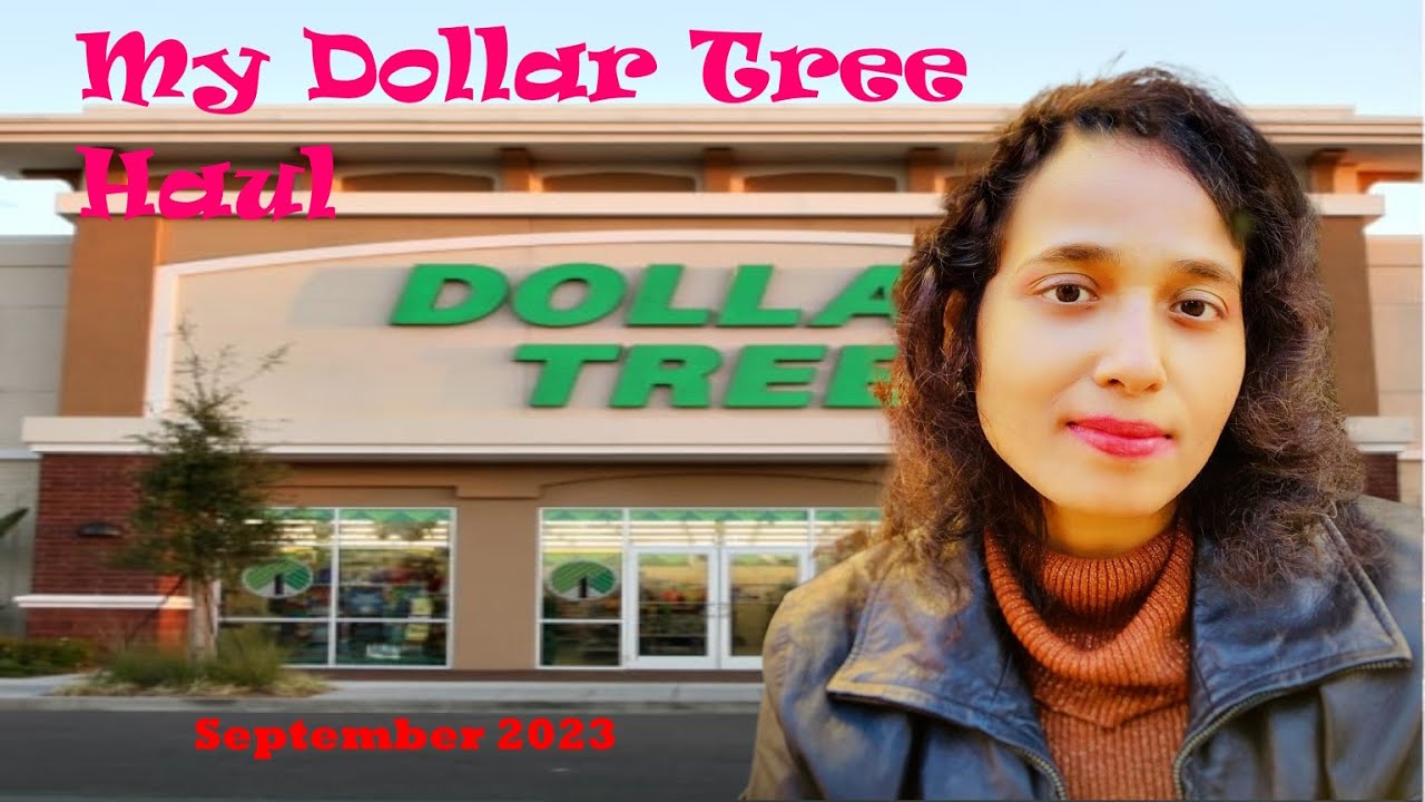 My first Dollar Tree haul video! - YouTube