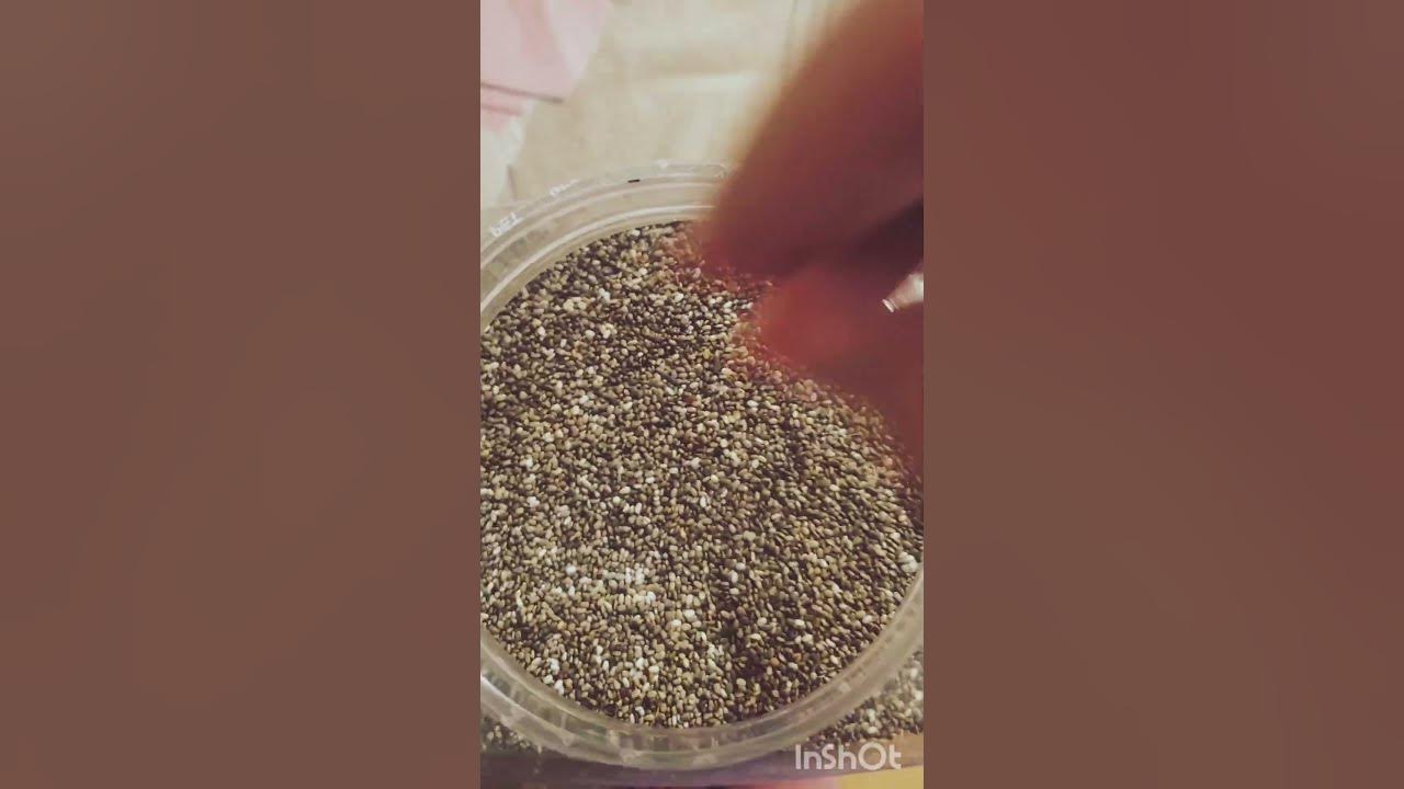 Organic Chia Seeds from Amazon( 1kg in just 299) link in description 👇 don't panic go with ...