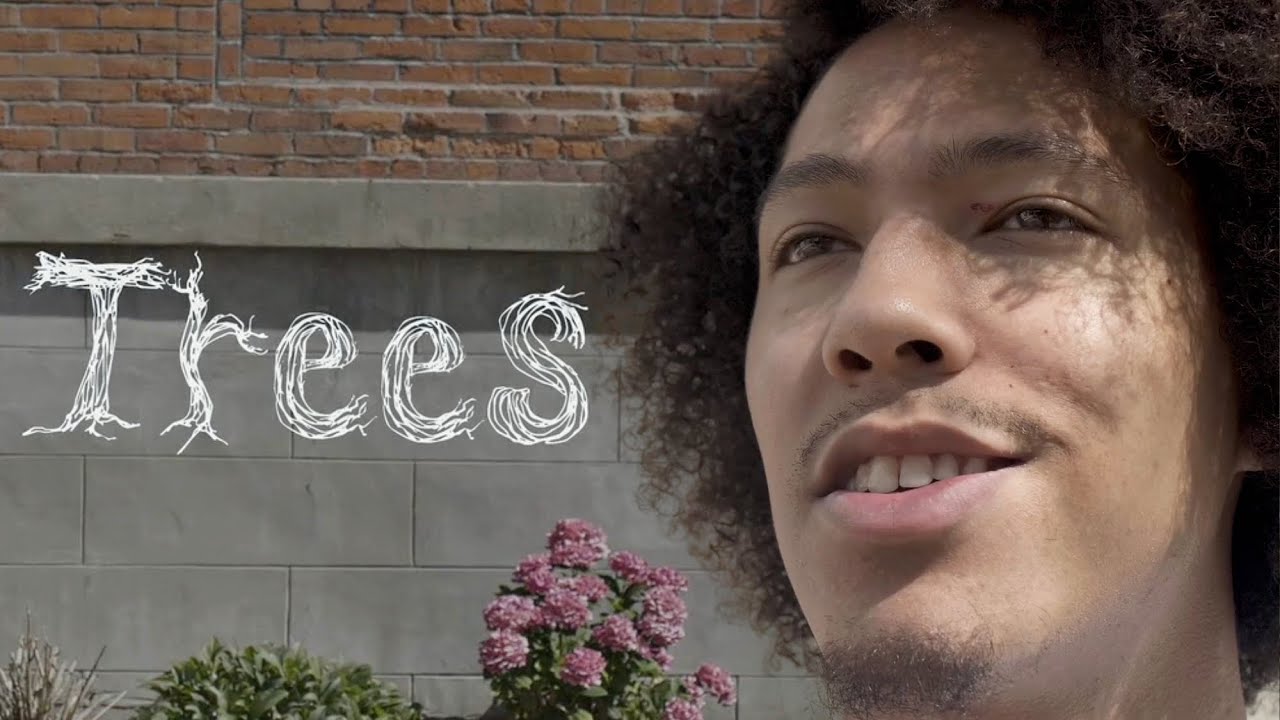 Trees - by Christian Paige - YouTube