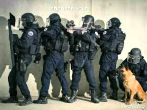 les chiens du GIGN - YouTube