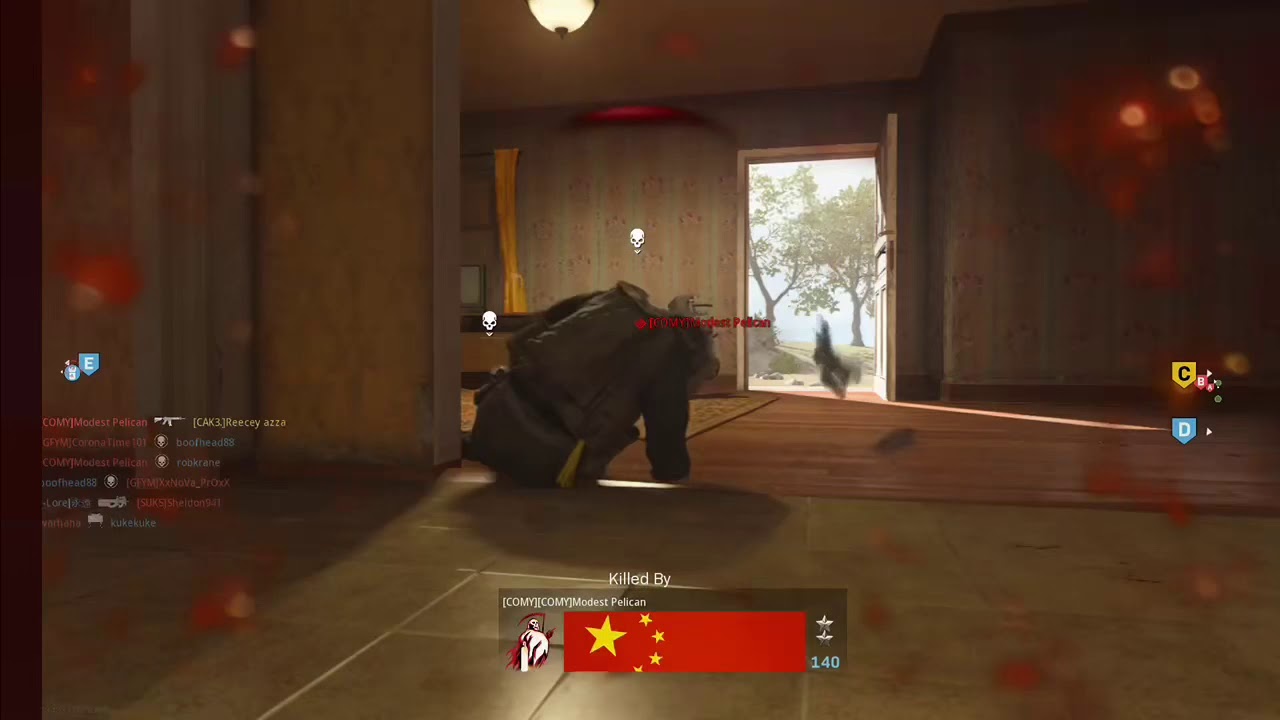 modest pelican gaming shooting me in the face in CoD modern warfare ...