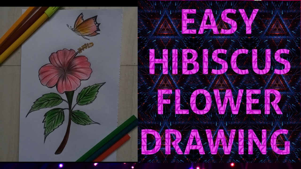 How to draw hibiscus flower|Hibiscus flower drawing|Joba ful drawing ...