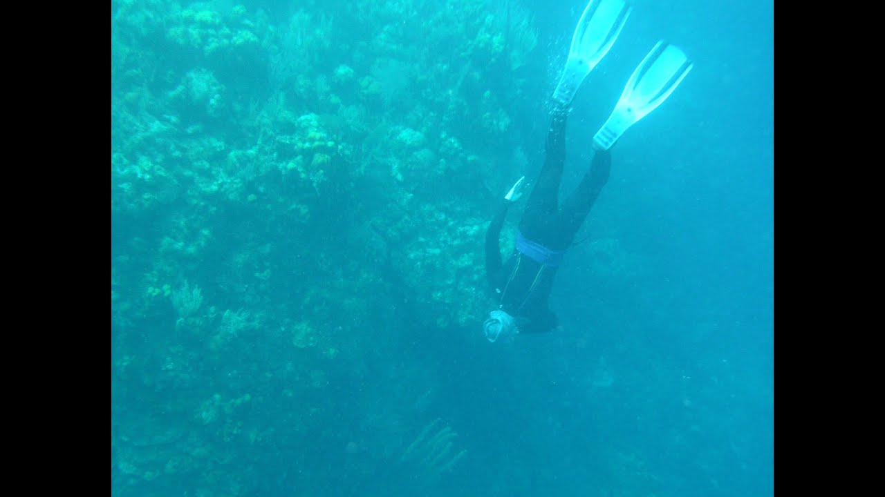 DUNBAR VILLA: scuba diving & snorkeling vacations -- Guanaja, Honduras ...