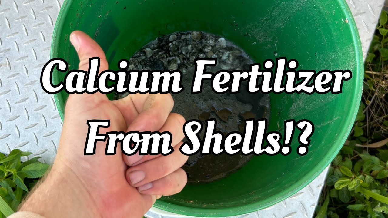 Making Fertilizer From Oyster And Clam Shells! #fertilizer #oysters # ...