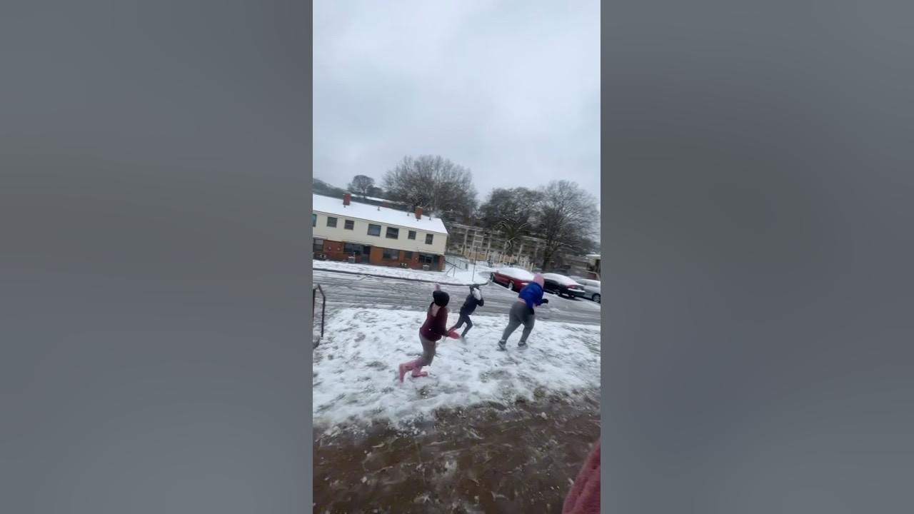 Snow Day January 2025 #snow #snowday - YouTube