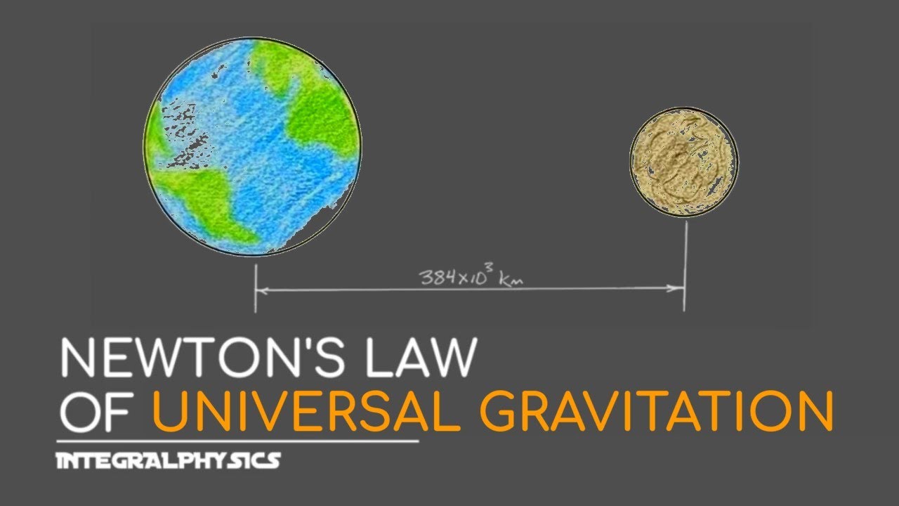 Newton's Law of Universal Gravitation | Physics Explained - YouTube