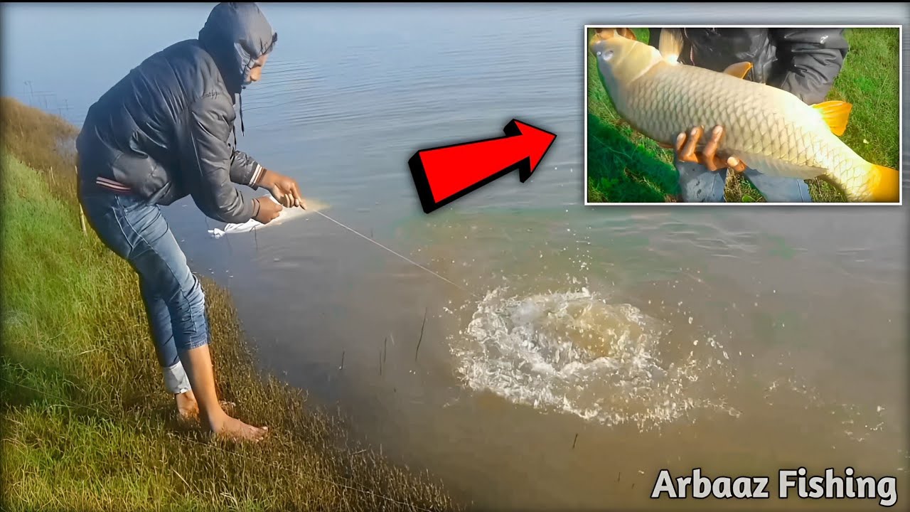 common carp fishing in river || rohu fish hunting - YouTube
