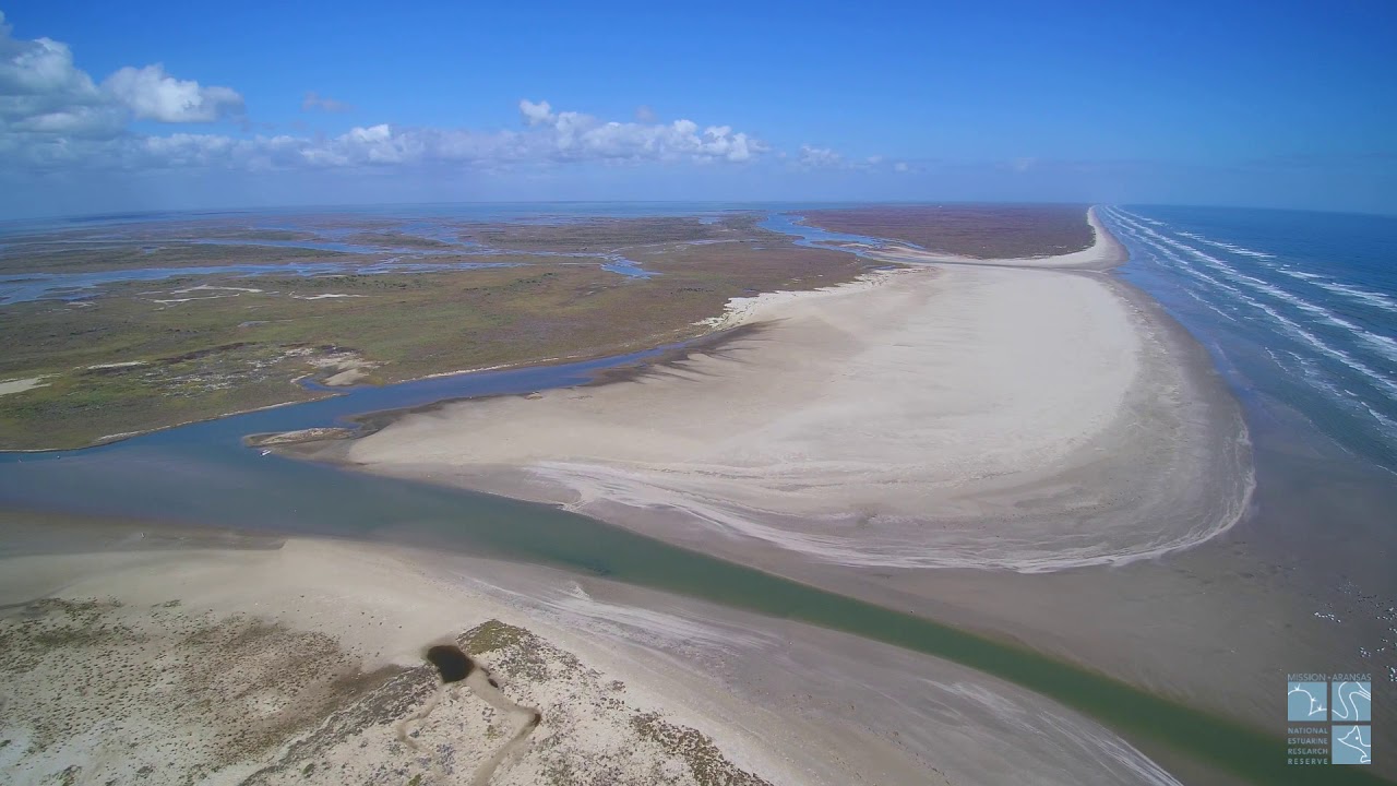 Cedar Bayou with Vincent Slough Open- November 2020 - YouTube