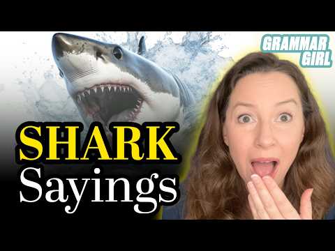 The origin of the term 'voodoo shark'
