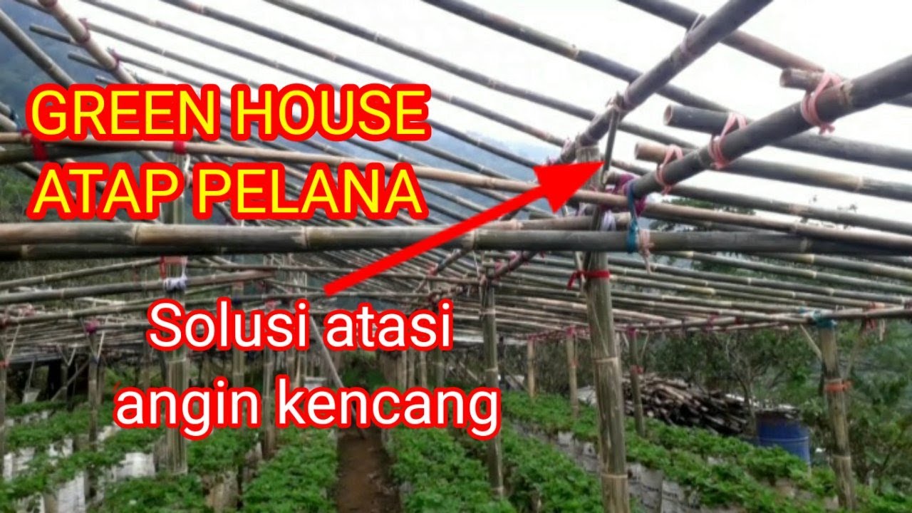 GREEN HOUSE BAMBU ATAP PELANA DAN CARA PEMBUATANNYA - YouTube