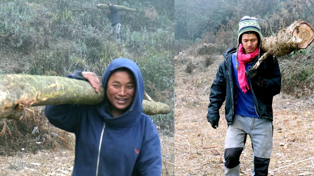 Husband & Wife carrying wood pillars for their shelter || Young couples ...