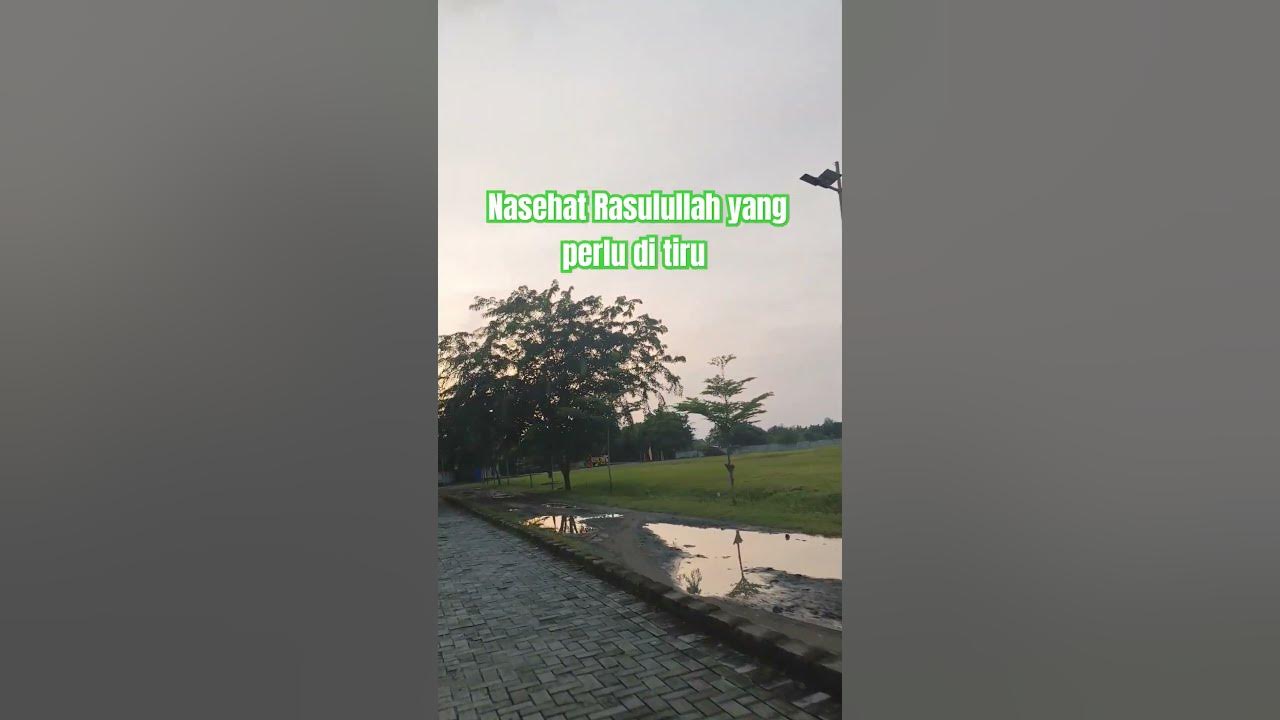 #feedshorts #shortsfeed #shortsvideo #shorts #fyp #masukberanda #lewatberanda - YouTube