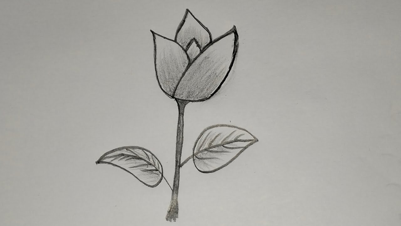 🌸 MASTERPIECE: Simple Flower Drawing Tutorial | Viral Art 🔥in 1 minute ...