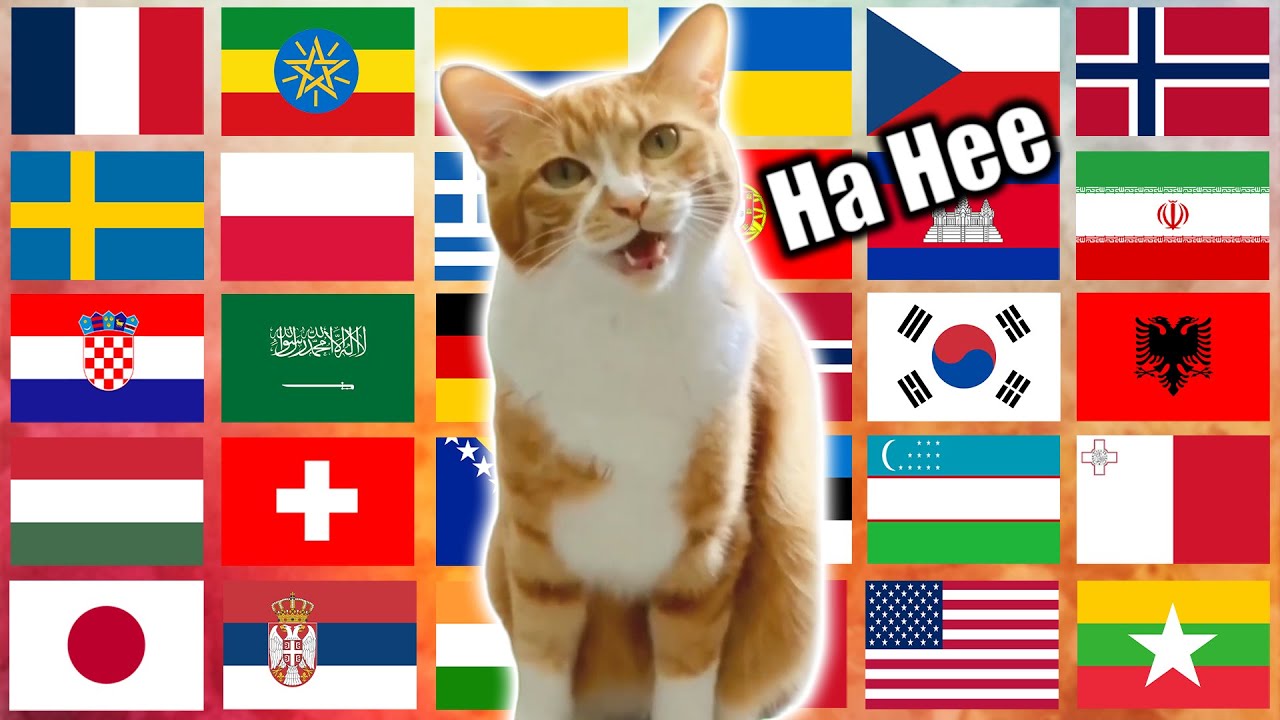 "Ha Hee" in 70 Languages Meme - YouTube