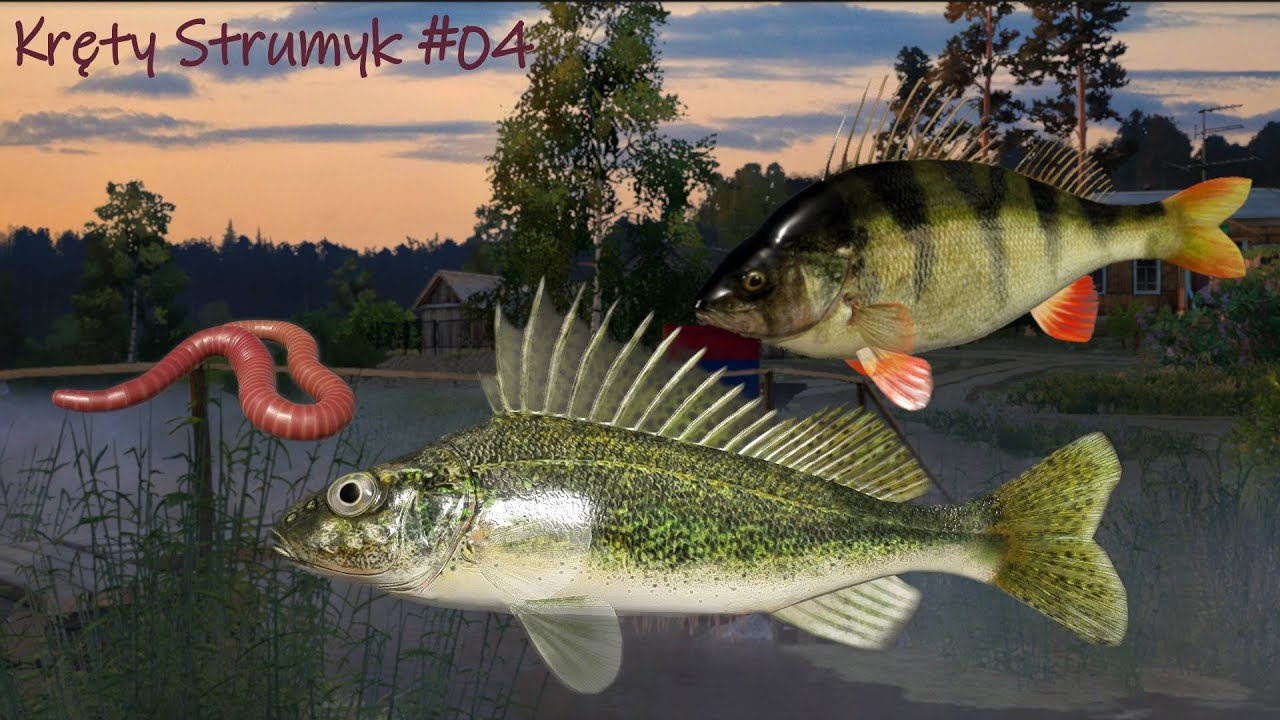 Russian Fishing 4 - Jazgarz Okoń Czerwony robak Feeder spot Kręty ...