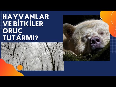 HAYVANLAR VE BİTKİLER ORUÇ TUTAR MI?