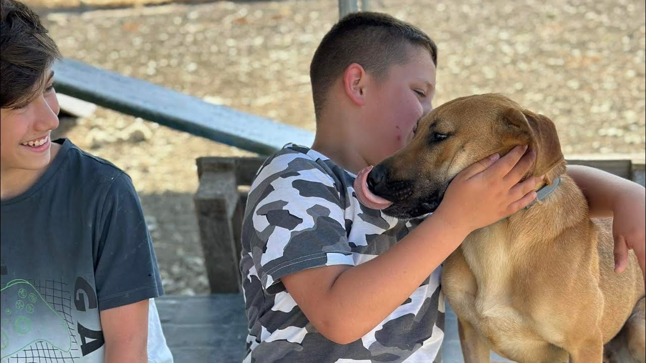 Despite being rescued from a killshelter, Layla is the most loving ...