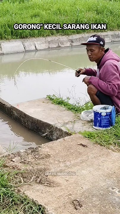 mancing di gorong gorong kecil - YouTube