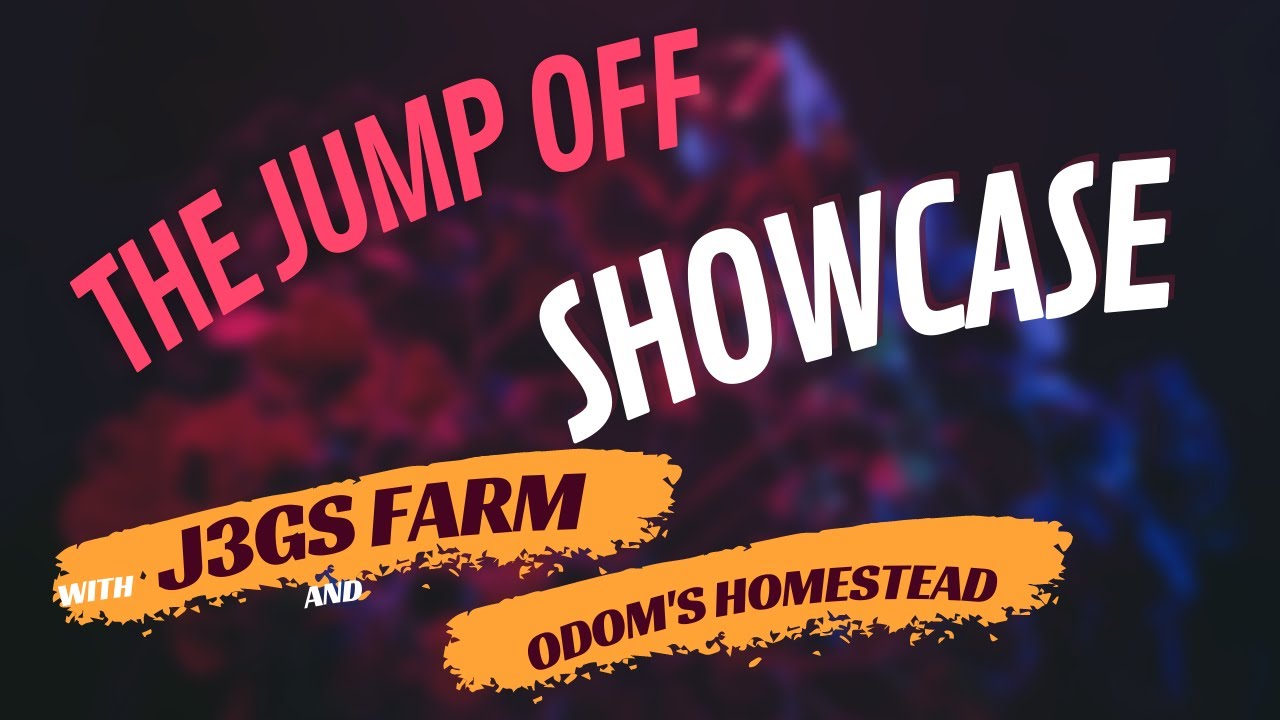 The Jump Off Show - YouTube