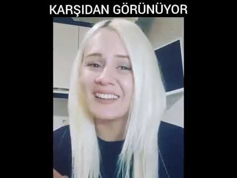 Sesi harika