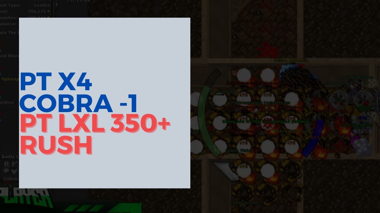 Tibia - PT X4 LVL 350+ COBRA -1 HUNT. 6.5KK+ XP/HR - YouTube