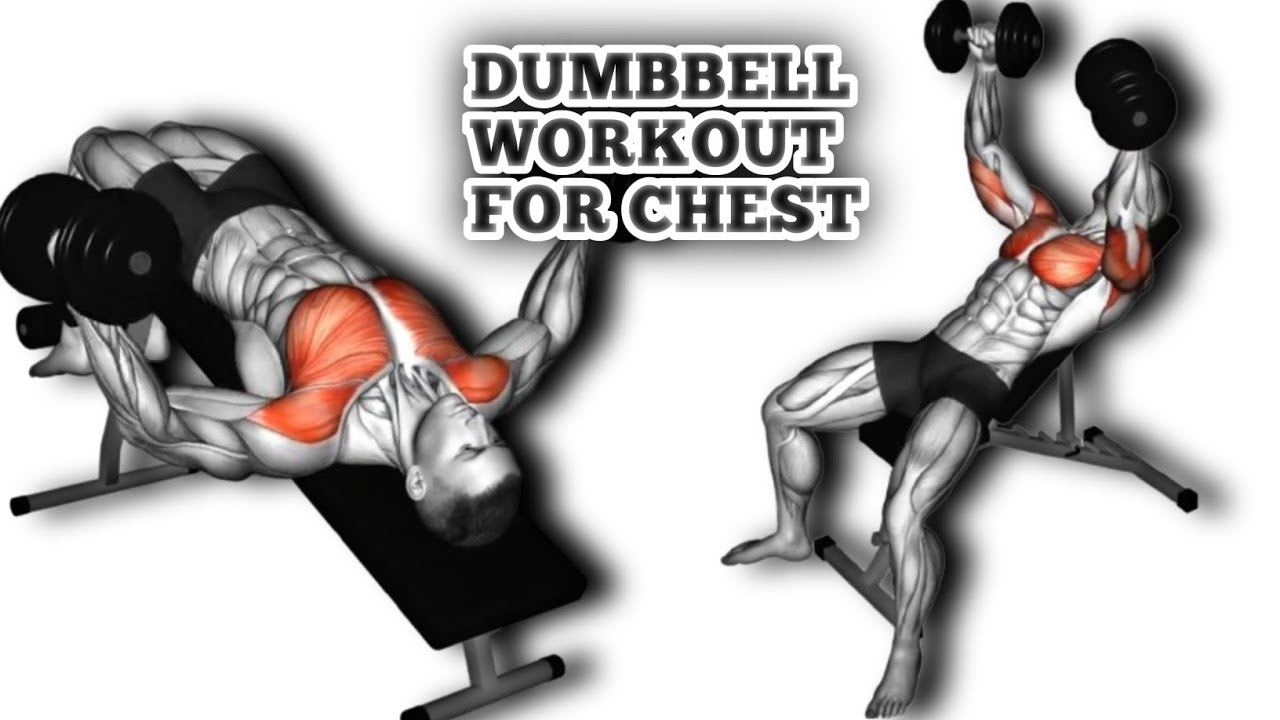 5 Best Dumbbell Exercises For Chest || Dumbbell Workout - YouTube