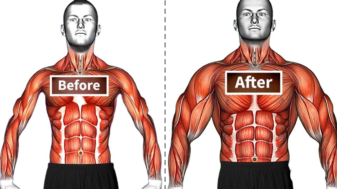 10 Best Full Body Workouts for Home Fitness - YouTube
