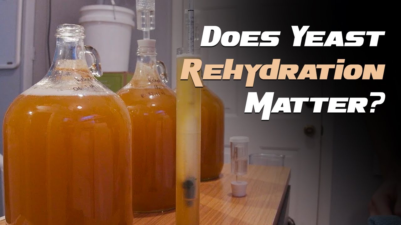 Does Yeast Rehydration Matter? - A Reflective Test - YouTube