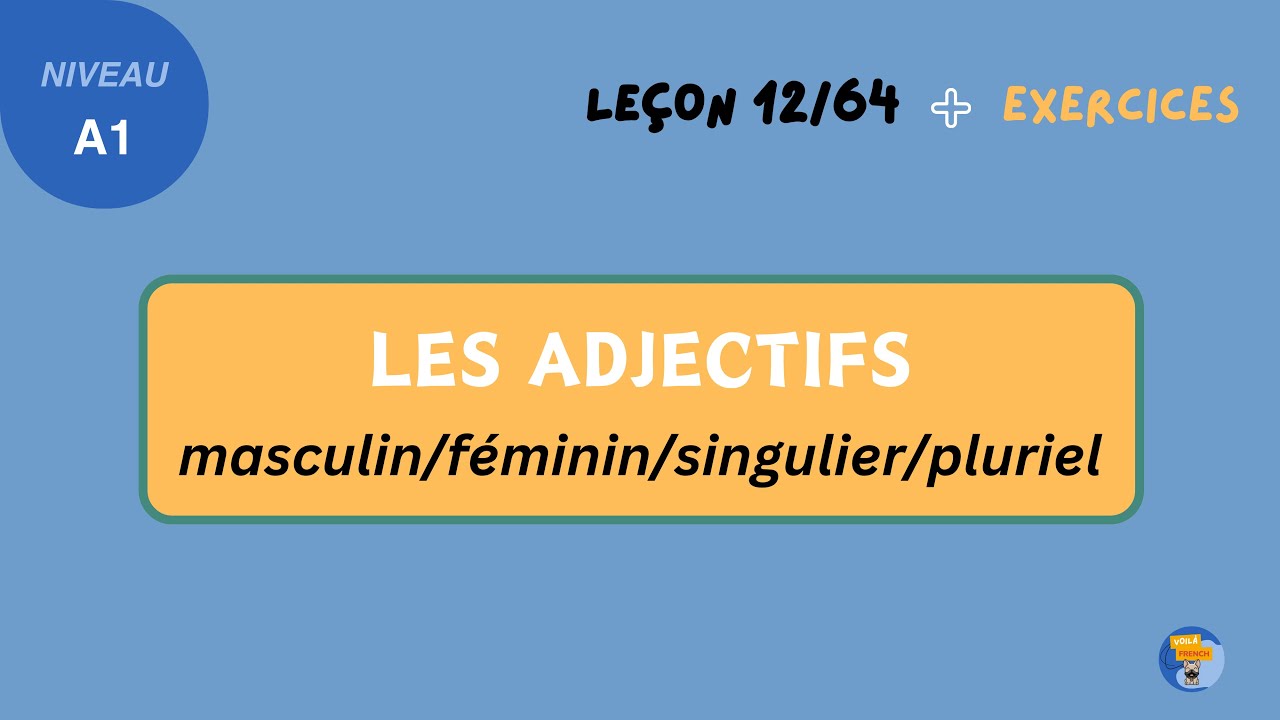 Leçon 12/ 64 Le FÉMININ et le PLURIEL des ADJECTIFS - YouTube
