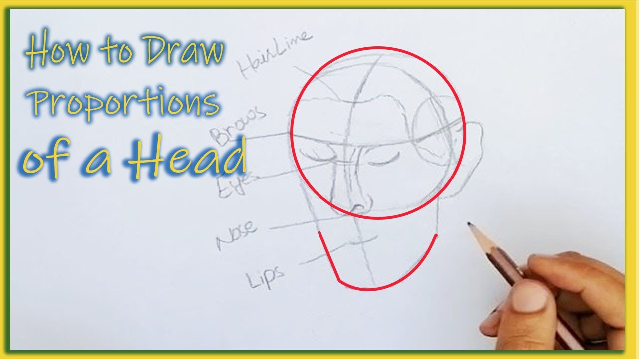 Human Head Proportions - Anatomy Master Class - YouTube