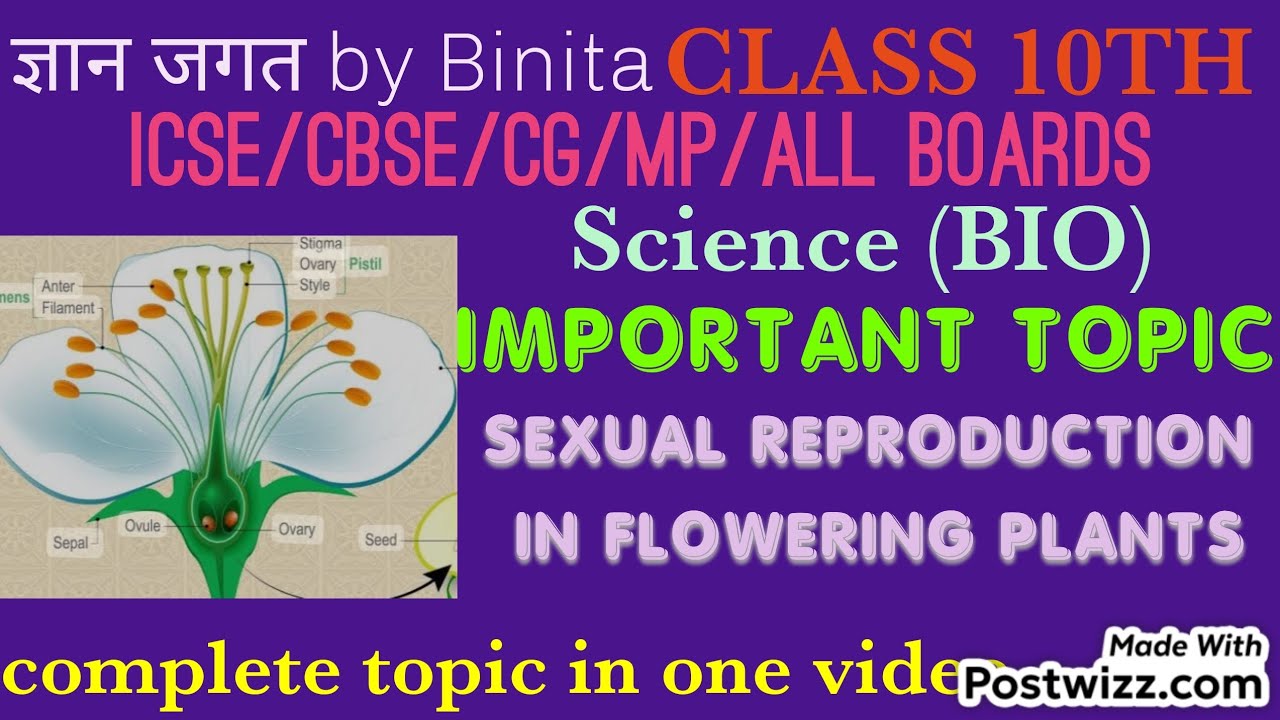 CLASS 10th SEXUAL REPRODUCTION IN FLOWERING PLANTS IMPORTANT TOPIC(ICSE ...