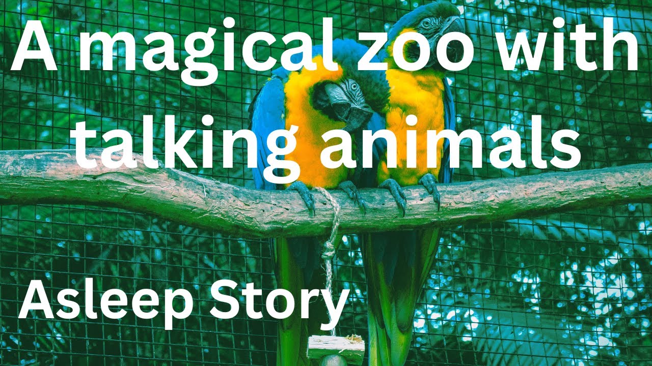A magical zoo with talking animals - THE RELAXING TALK #bedtimestories ...
