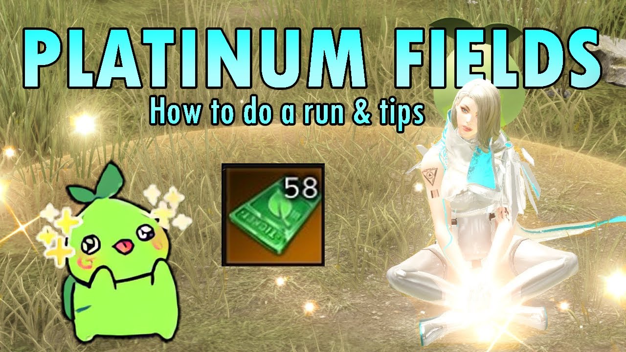 Platinum Field Guide & Tips [ Lost Ark ] - YouTube