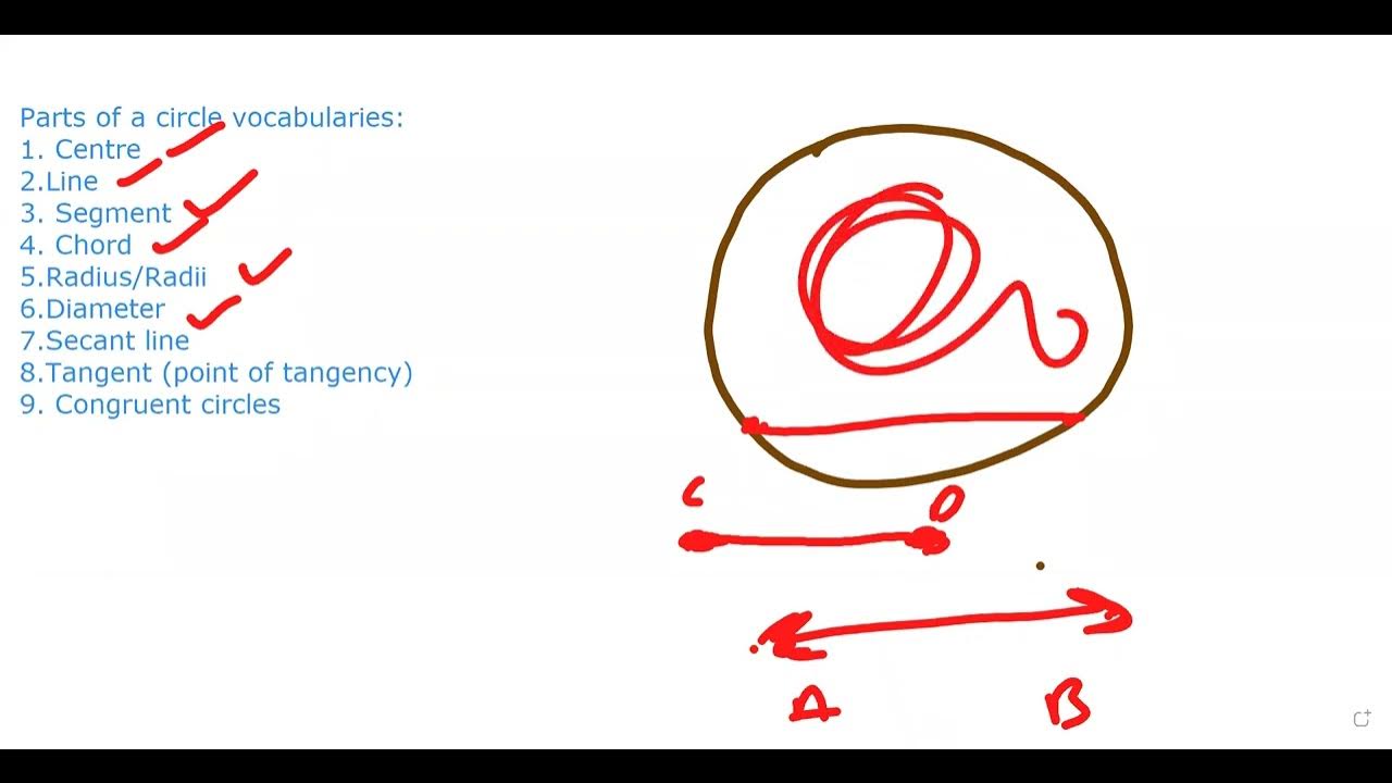 Parts Of Circle With Vocabularies YouTube parts-of-circle-with-vocabularies-youtube