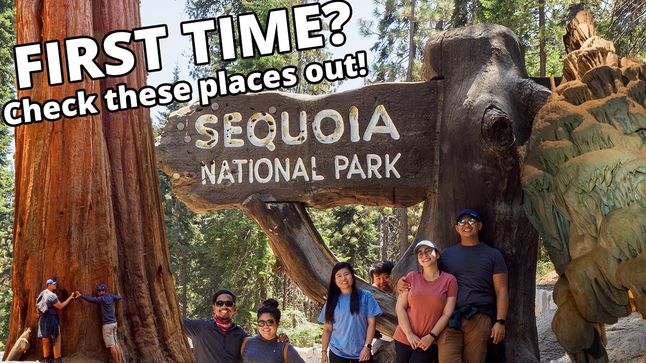 Fun firsts, car camping at Sequoia National Park's Lodgepole Campground ...