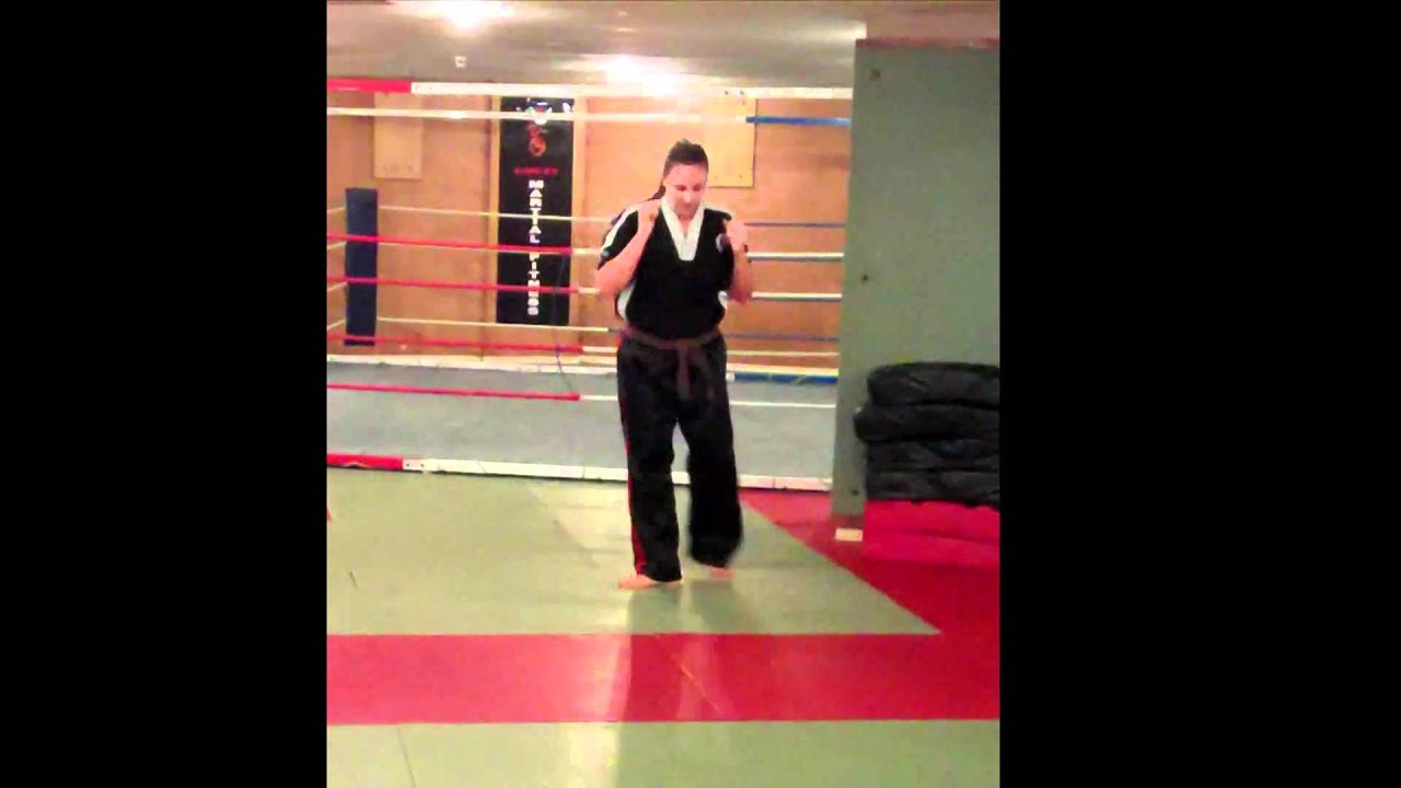 Leg block with reverse roundhouse kick - YouTube