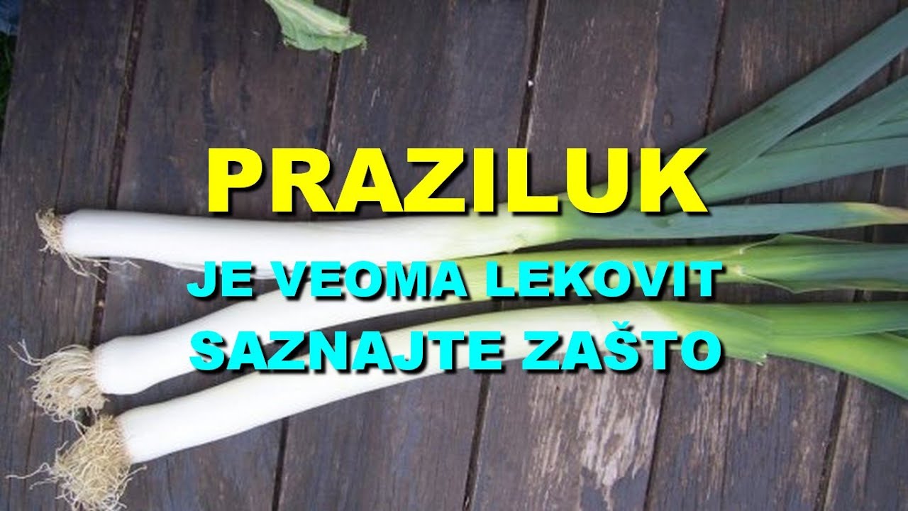PRAZILUK Je VEOMA LEKOVIT - SAZNAJTE ZAŠTO - YouTube
