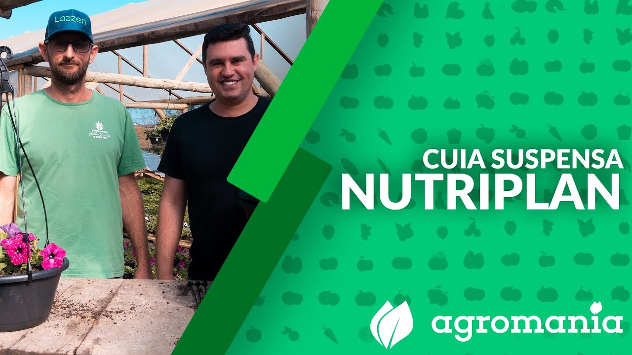 Conhecendo e cultivando com Cuias Flexíveis e Rígidas Nutriplan - YouTube