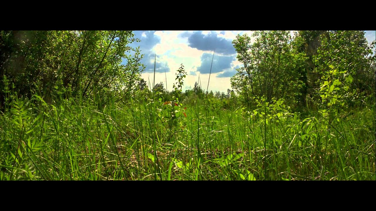 Canon 60D Magic Lantern RAW Video - YouTube