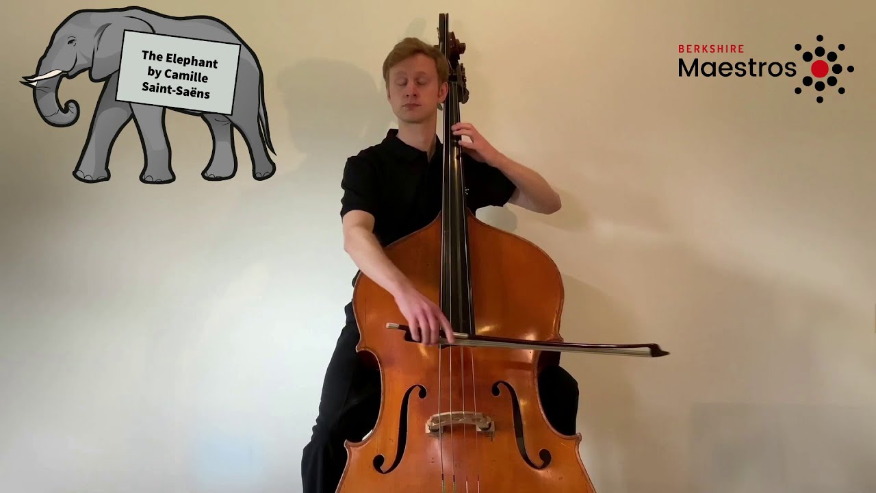 Introduction to the Double Bass - YouTube