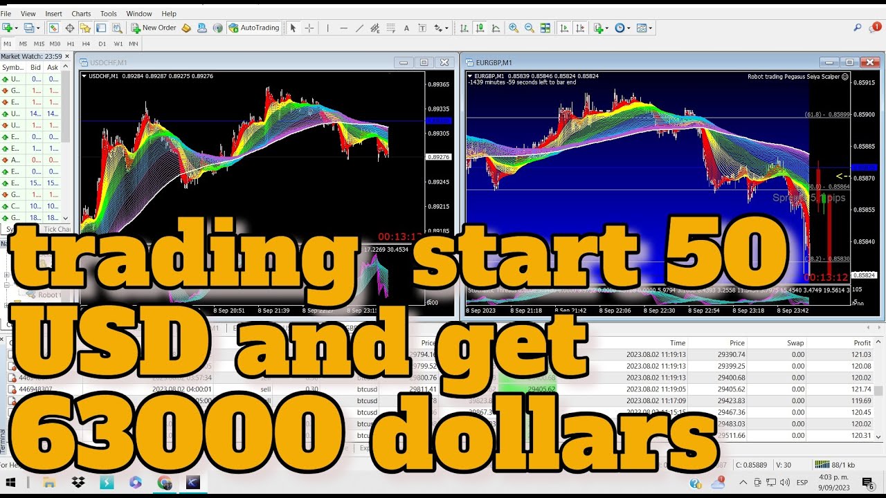 Successful trading robot start my account with 50 dollars and get 63000 ...