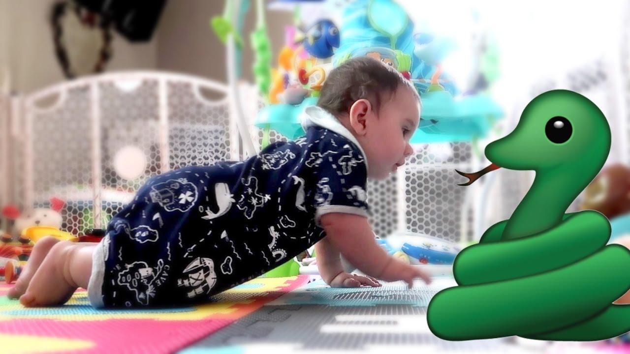 Crawling and a Snake! | Baby Crawls😲😍😁👏 - YouTube