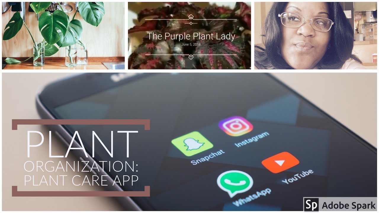 Plant Organization: Plant Care App - YouTube
