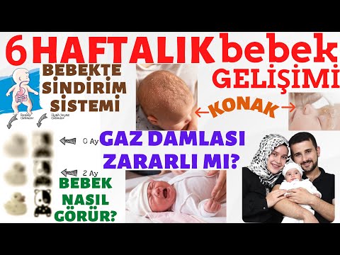 6 Haftalık Bebek Gelişimi (DETAYLI ANLATIM) w/    @rabiasahin