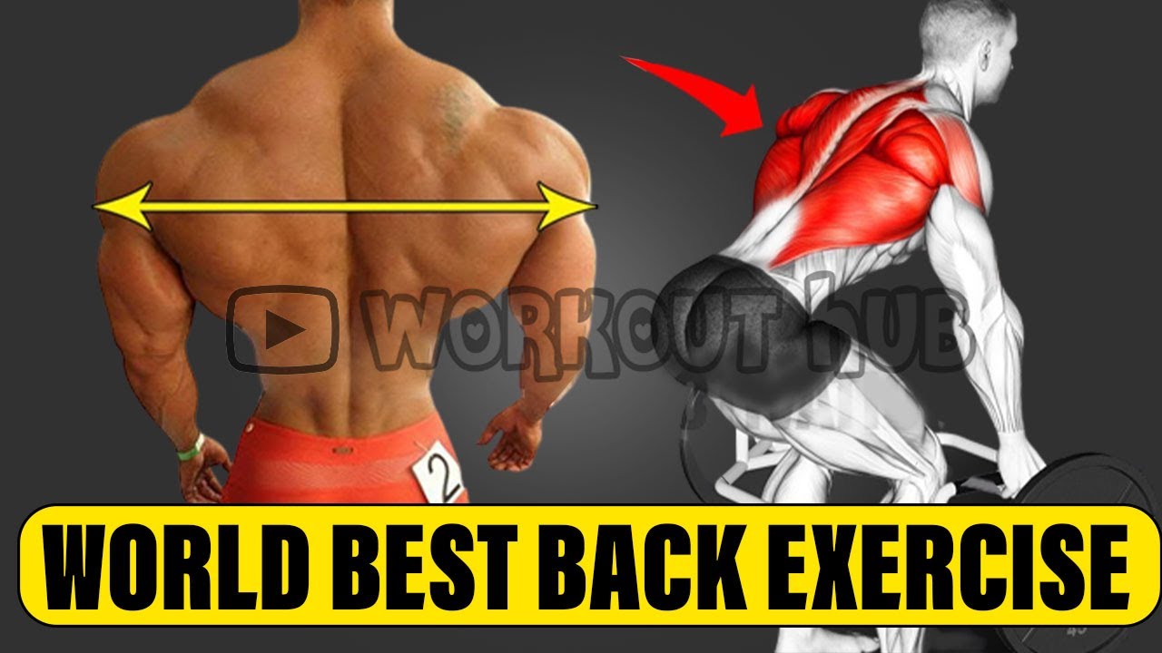 7 Super Effective Exercises To Build A Big Back - YouTube
