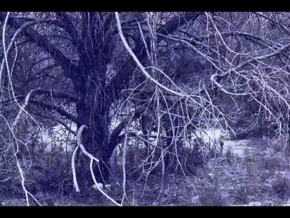 【UTAU】 chaosmaid 【Tree】 - YouTube