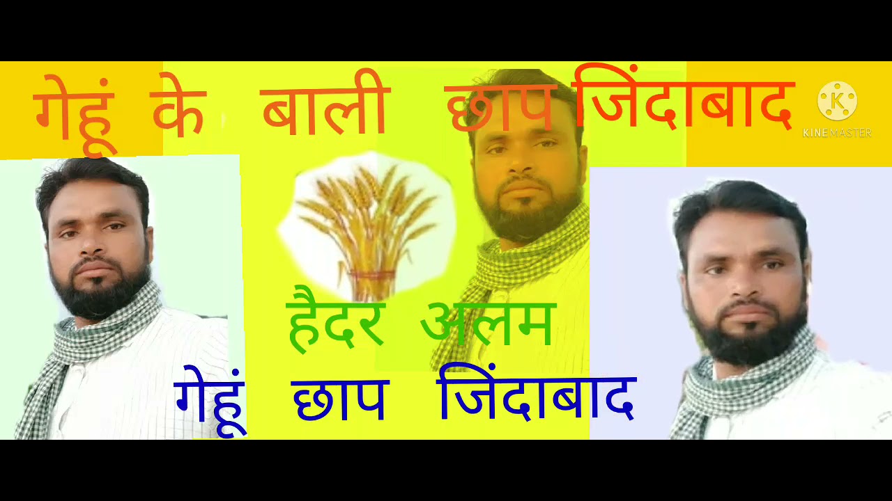 गेहूं के बाली छाप जिंदाबाद हैदर अलम #md barik - YouTube