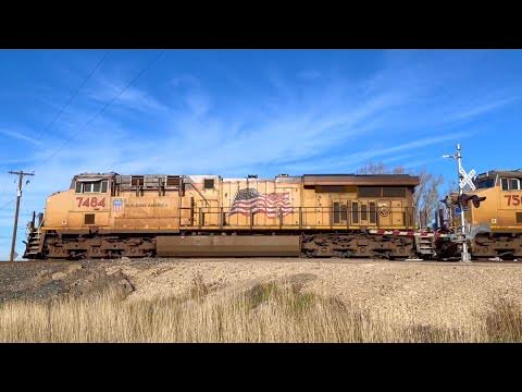 Late Kuna Action | 11/10/23 - YouTube